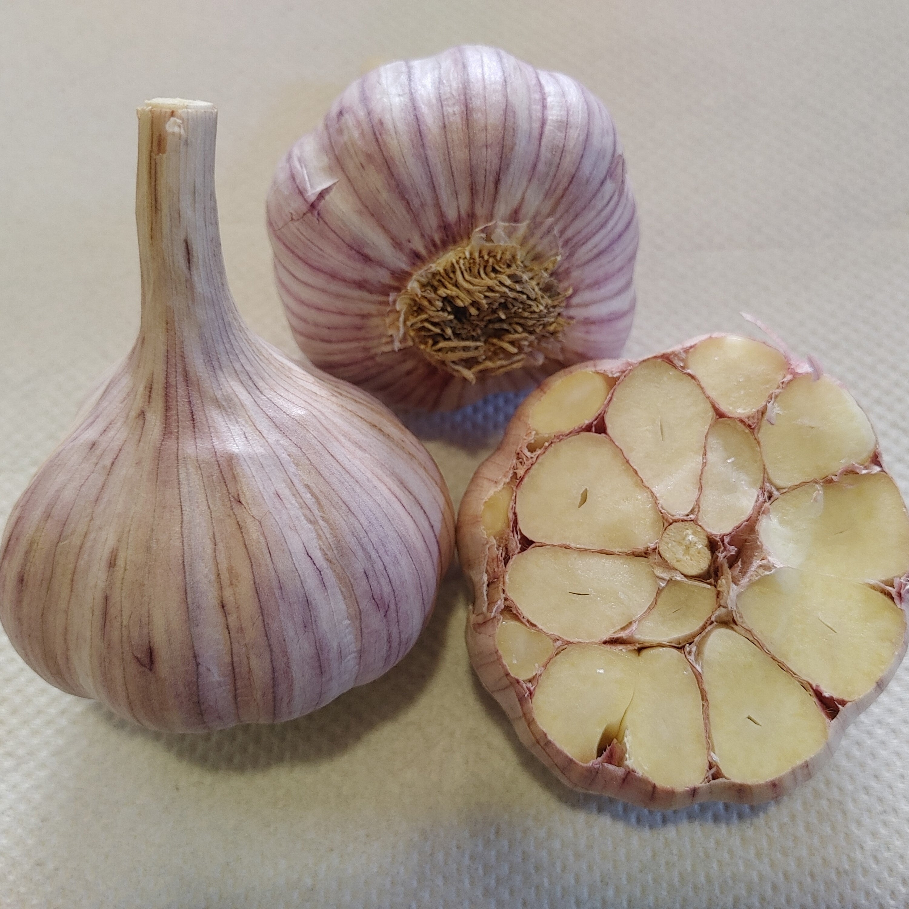 Superstar, Organic Seed Garlic – Hawthorn Farm