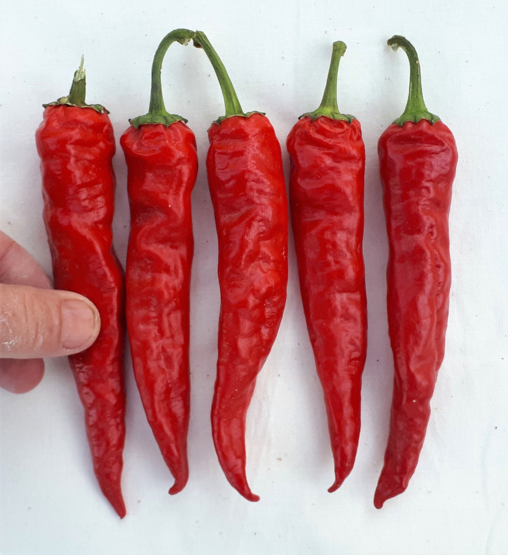 Peppers – Hawthorn Farm