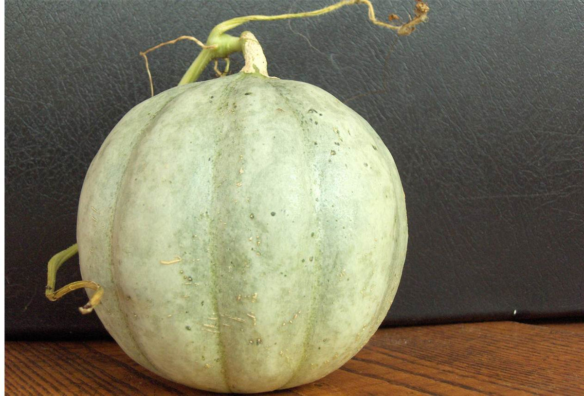 French Charentais – Hawthorn Farm