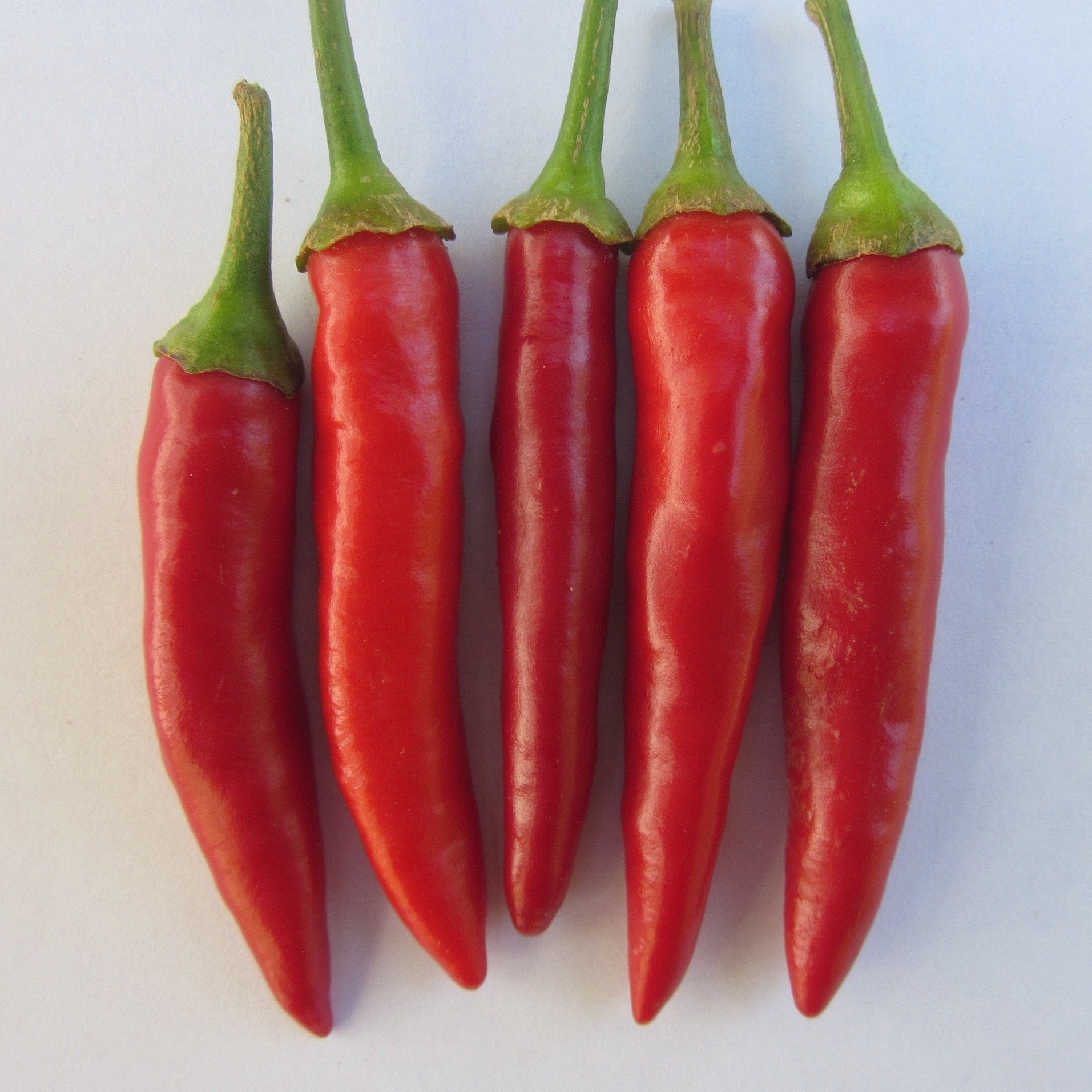 Matchbox Hot Pepper – Hawthorn Farm